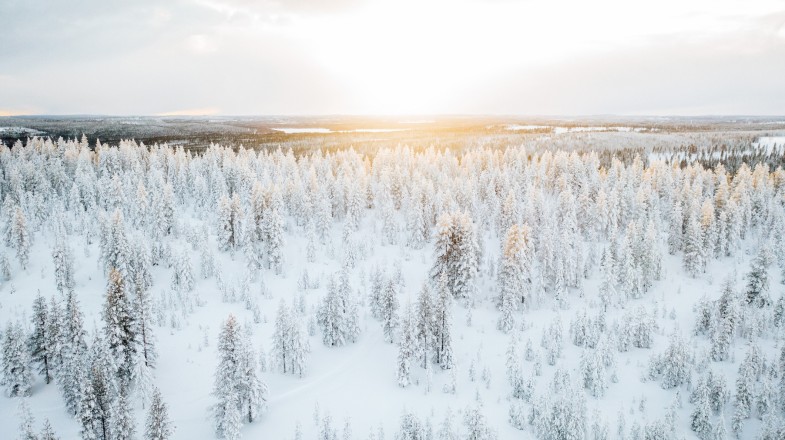 Finland in December: Weather, Christmas and More | Bookmundi