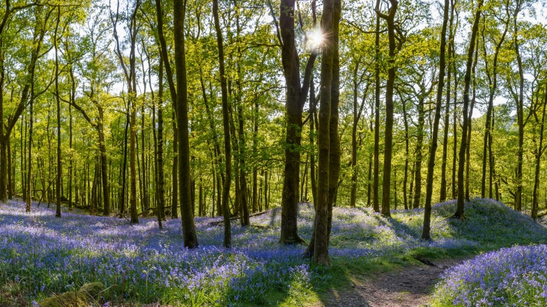 England in April: Weather, Tips, and More | Bookmundi
