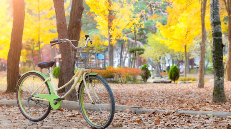 Cycling in South Korea: 5 Best Paths, When to Go, and Travel Tips