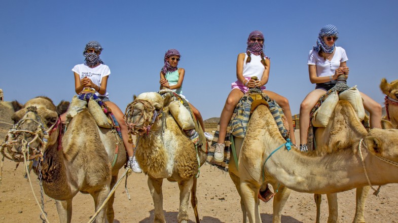 Egypt Adventure Trips in 2024/2025 | Bookmundi