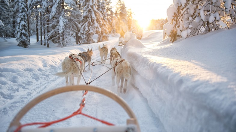 Finland in February: Weather, Snow Sports and More | Bookmundi