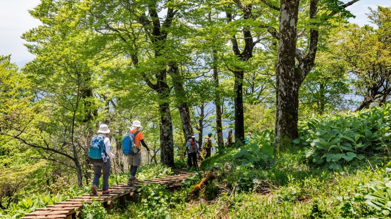 Trekking in Japan: The 6 Best Multi-day Hiking Trails | Bookmundi