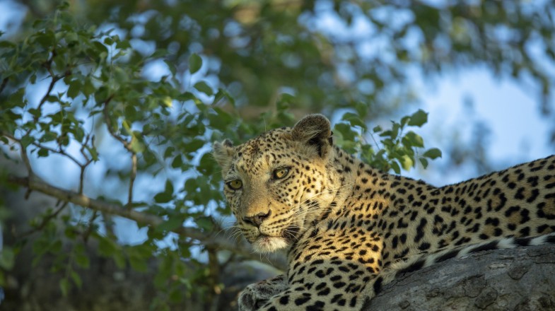 Best Time to Visit Sri Lanka: When to Travel to Sri Lanka | Bookmundi