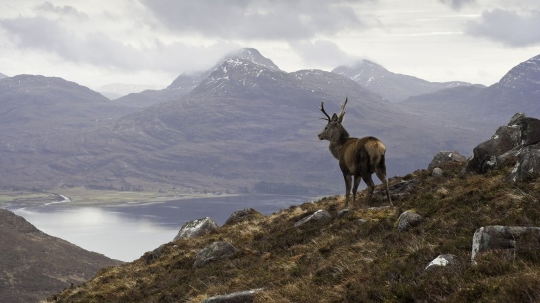Scotland in April: Weather, Tips & Spring Festivals | Bookmundi