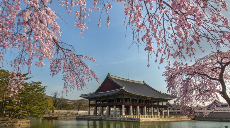 South Korea in March: Weather, Cherry Blossoms & More | Bookmundi