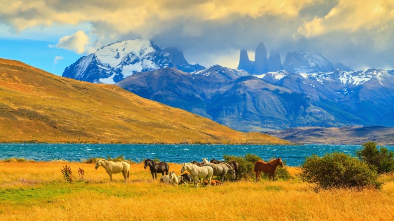 10 Best Tours and Trips in Torres del Paine National Park 2024/2025 ...