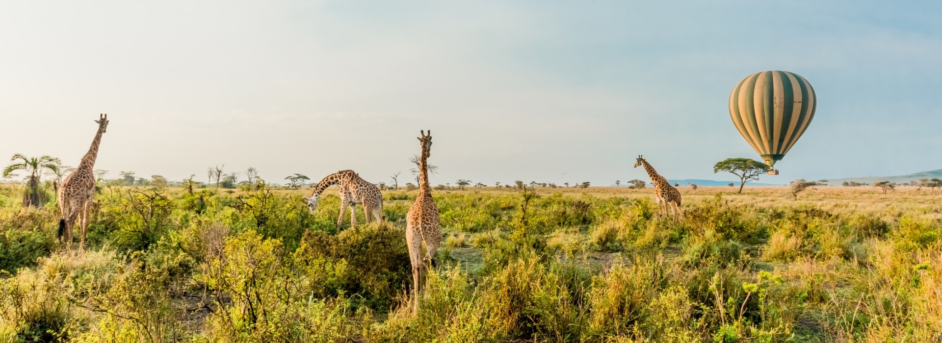 10 Best Africa Tours & Trip Packages 2024/2025 (with 3500+ Reviews ...