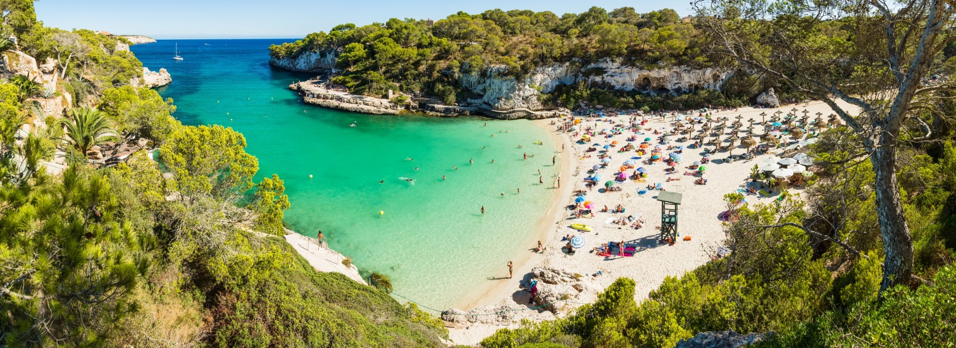 Best Tours and Trips in Balearic Islands 2024/2025 – Compare Prices ...