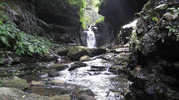Enchanting Hidden Valley From Manila Hidden Valley Day