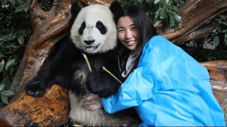 Private Chengdu Panda Tour - Full-Day Adventure by Private Beijing ...