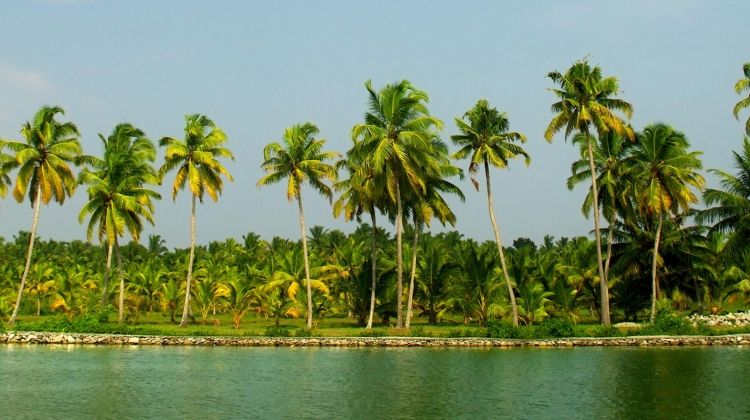 Real South India by Intrepid Travel | Bookmundi